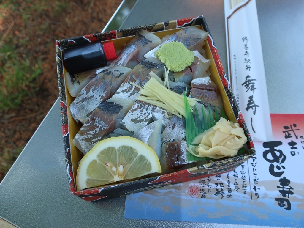 三度目の正直の晴れキャンプ（だるま山高原キャンプ場）: ガシラッコの自然観察日記