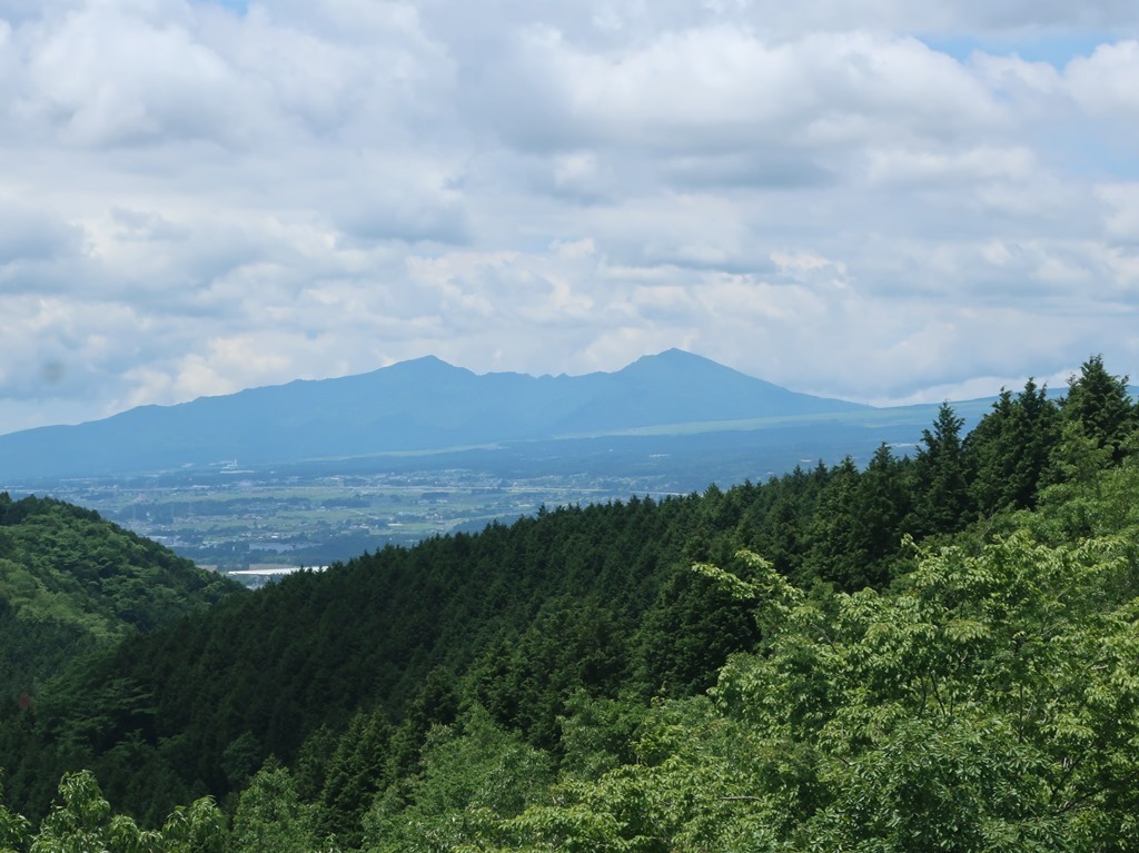 サンショウバラの尾根を歩く: ガシラッコの自然観察日記