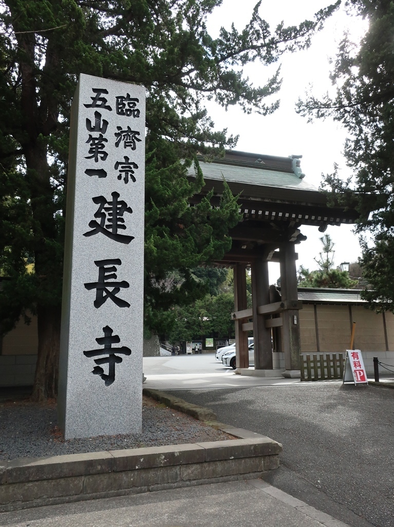 今年最初のハイキングは鎌倉: ガシラッコの自然観察日記